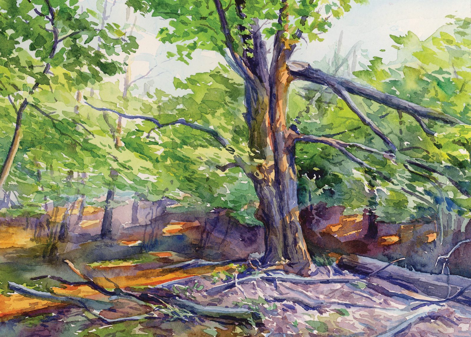 Interview with Steven Hughes - Land Conservancy of West Michigan