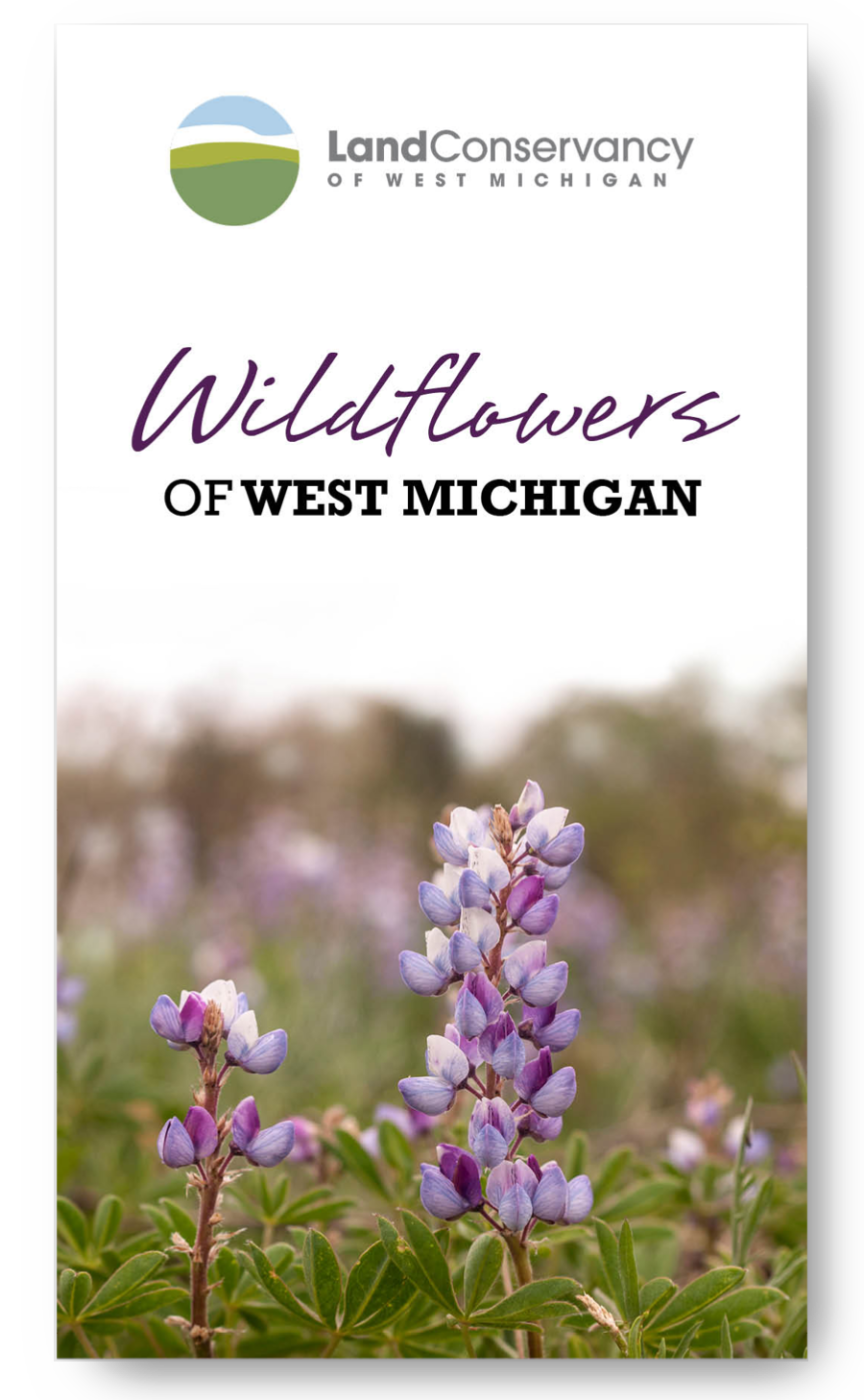 Wildflower Guide - Land Conservancy of West Michigan