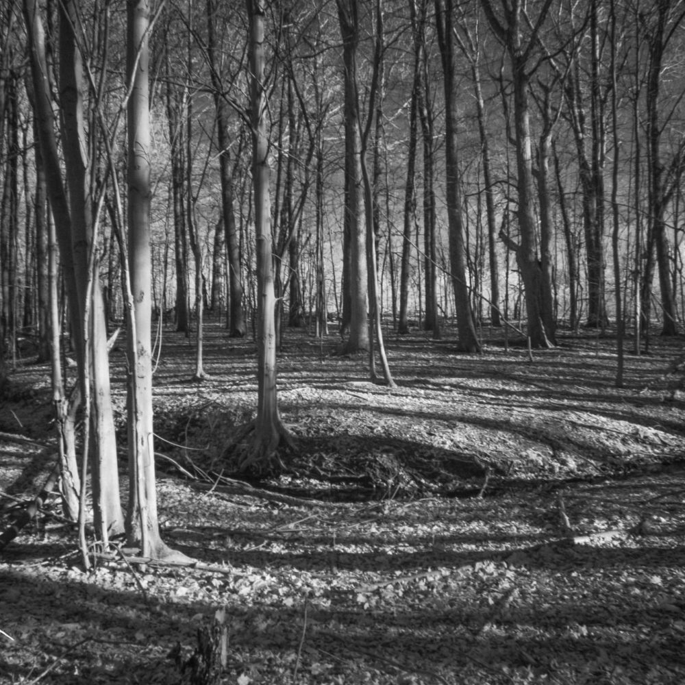 Preserved! - Land Conservancy of West Michigan