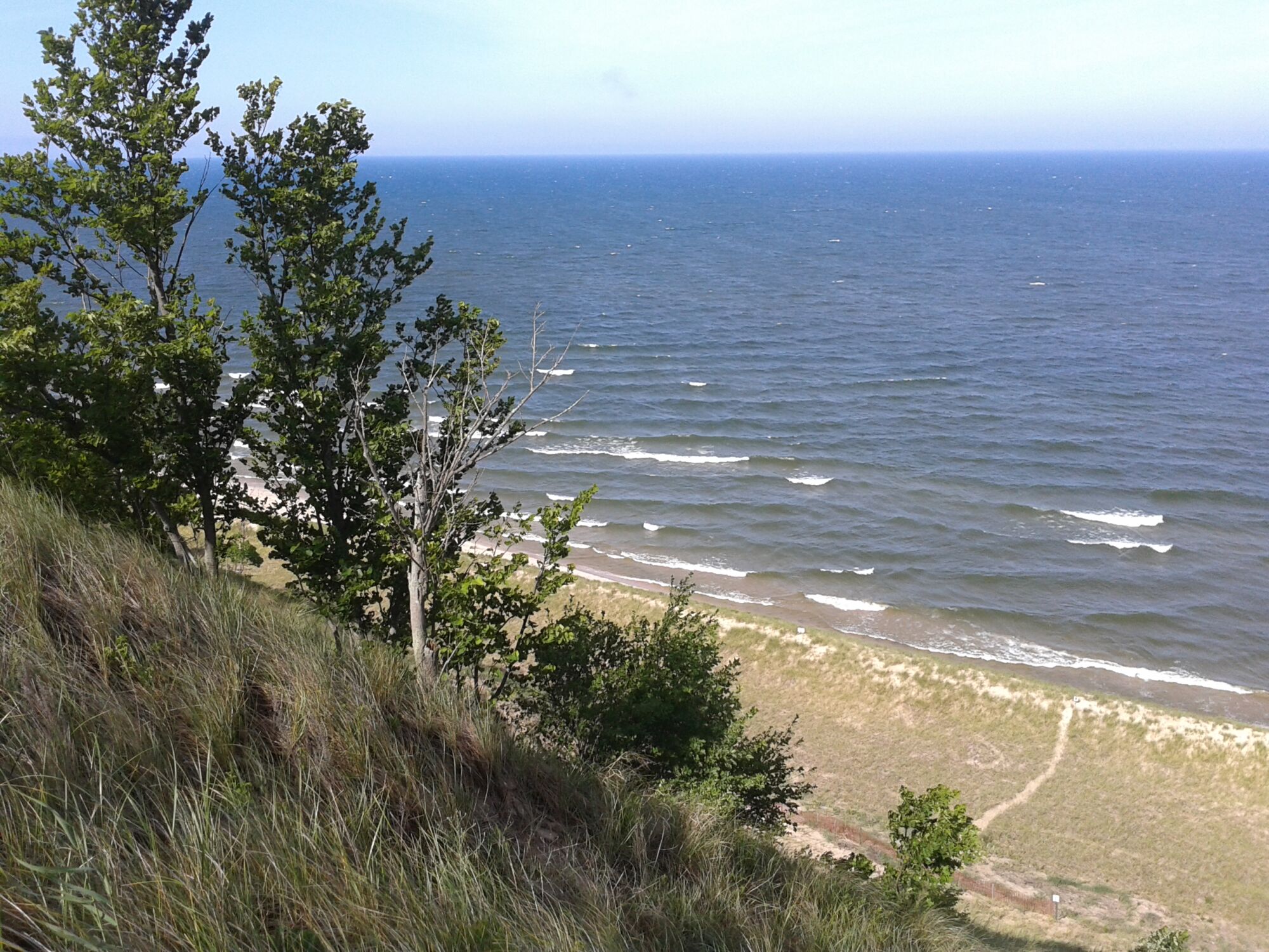 Second Saturday Workday at Castle Park Nature Reserve - Land ...