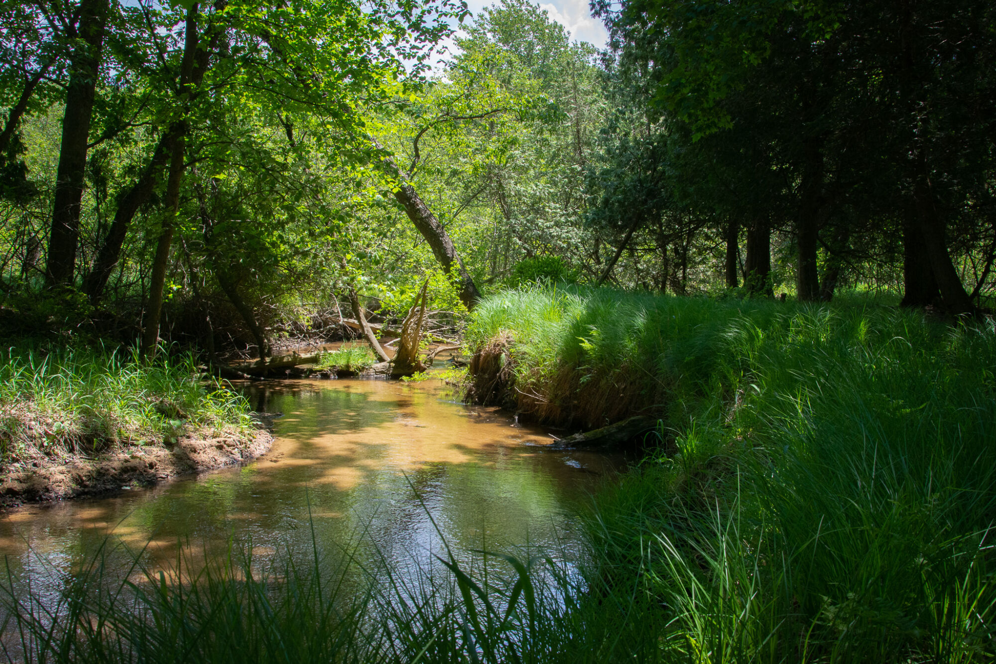 Celebrating a Legacy of Protected Land - Land Conservancy of West Michigan