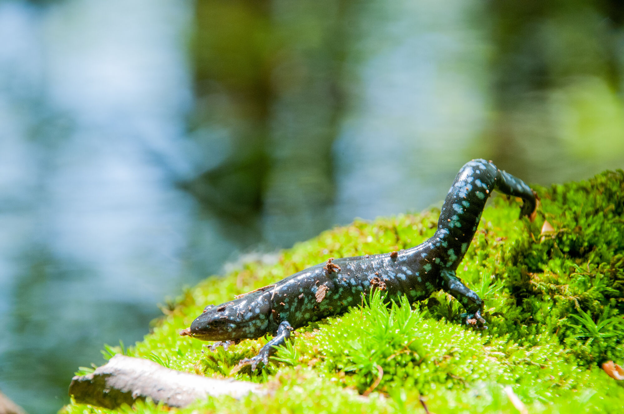 Nature Trivia at Pux Cider - Land Conservancy of West Michigan