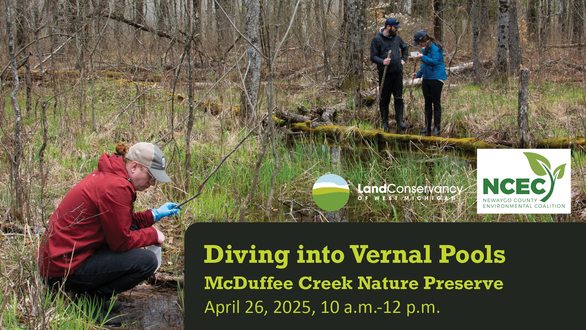 Diving into Vernal Pools - Land Conservancy of West Michigan