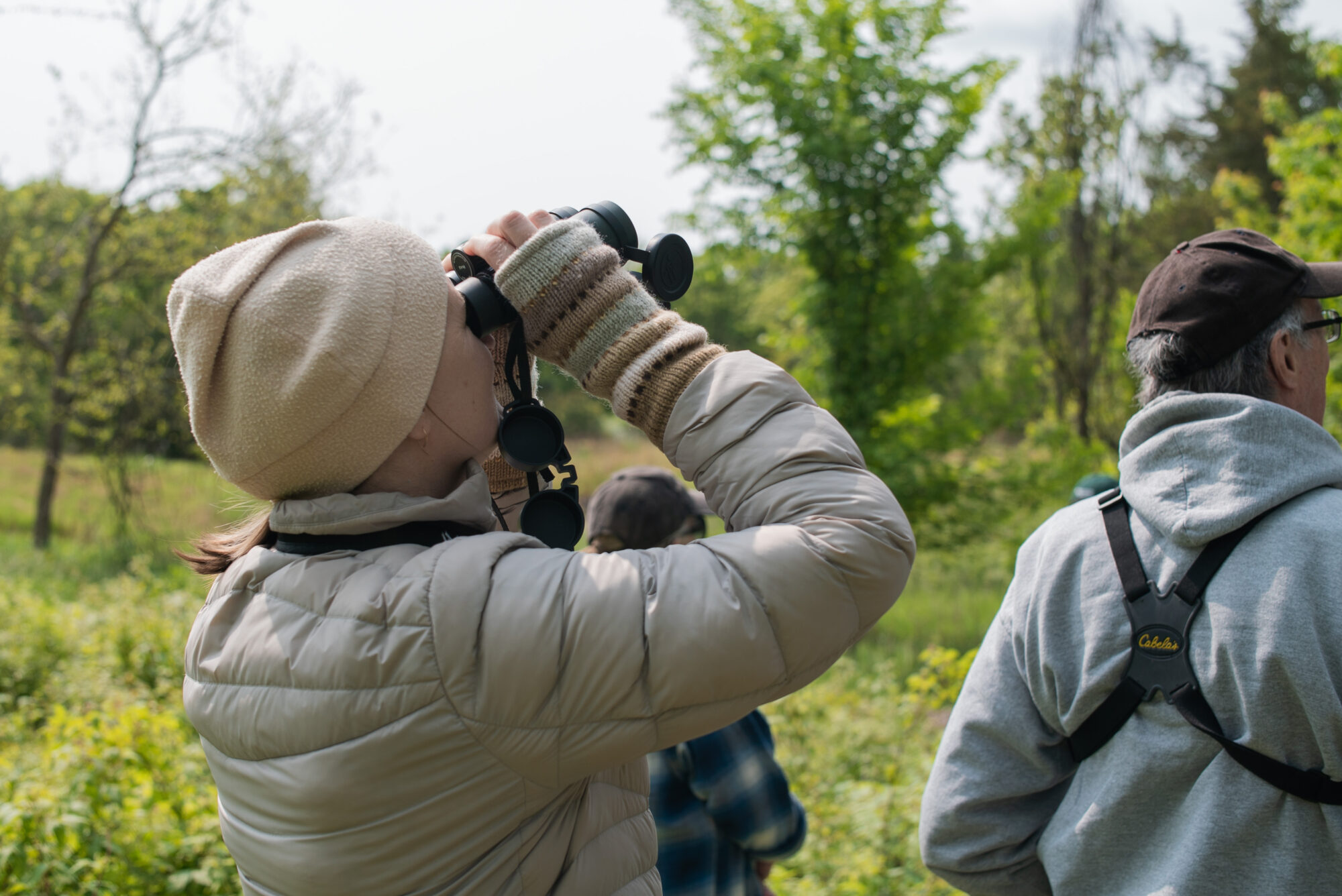 Creating a Forest for Birds: More than Just a Walk in the Woods - Land ...