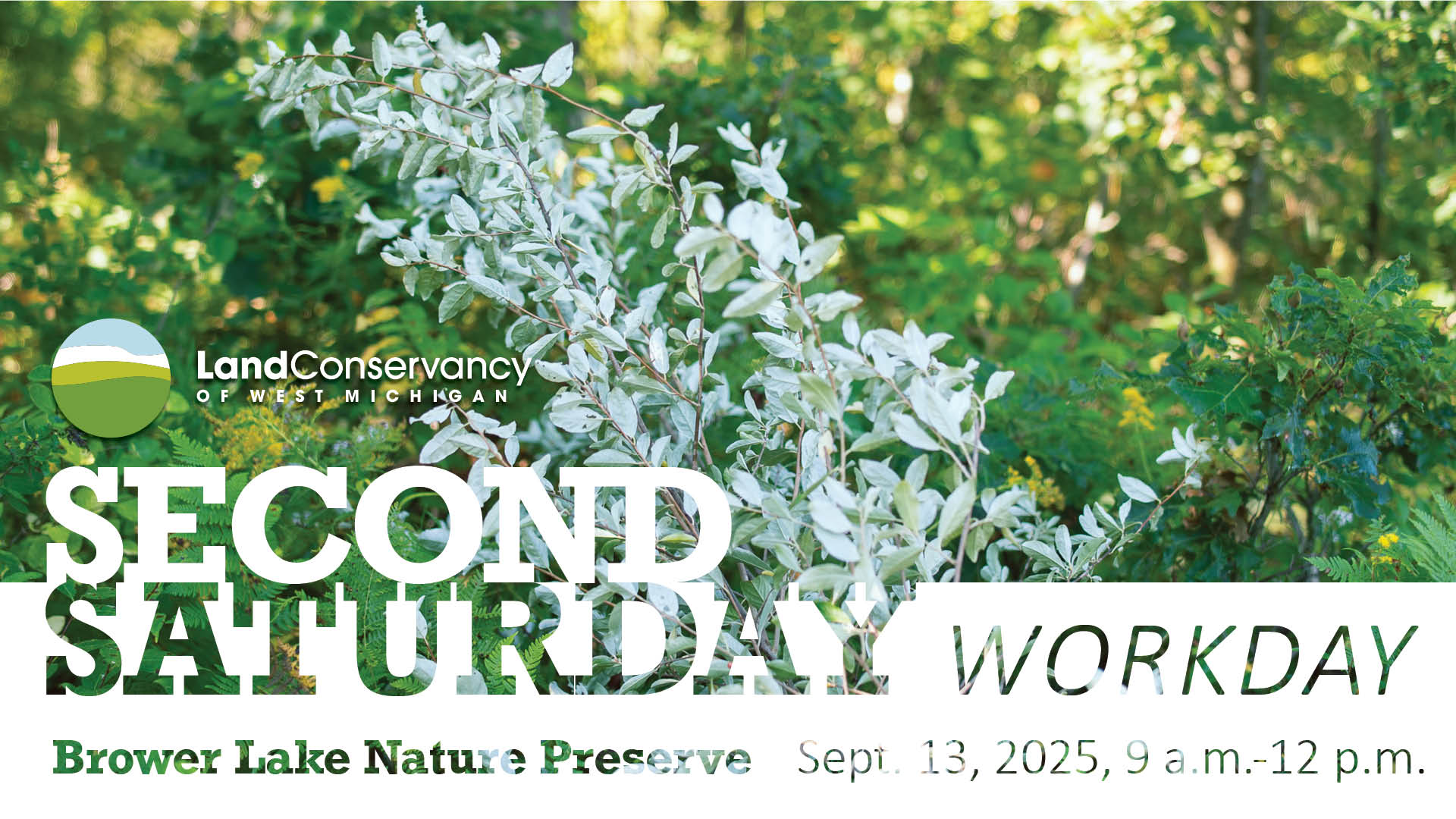 Second Saturday Workday at Brower Lake Nature Preserve - Land ...